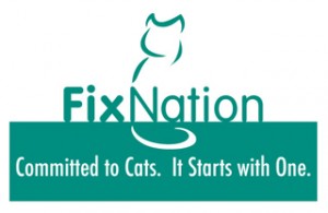 FixNation – A Ground Zero Concept for Managing Homeless Stray and Feral ...