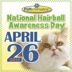 National Hairball Awareness Day – What is FURminator up to Now to ...