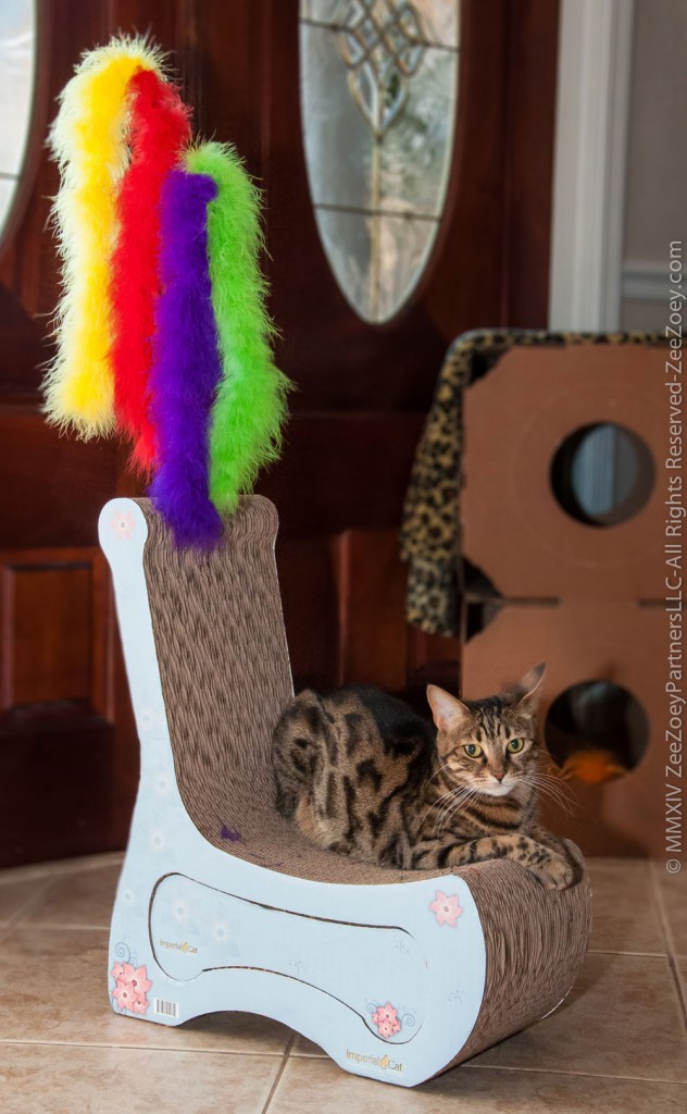 Caturday Gone Wild - The Disturbing Phenomenon of Cat Toys Plotting to ...