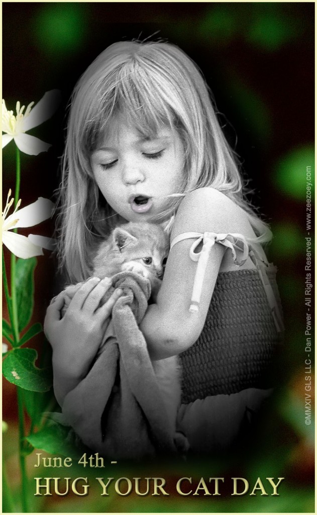 The Many Ways to Hug a Cat for Hug Your Cat Day | Zee & Zoey's Cat ...