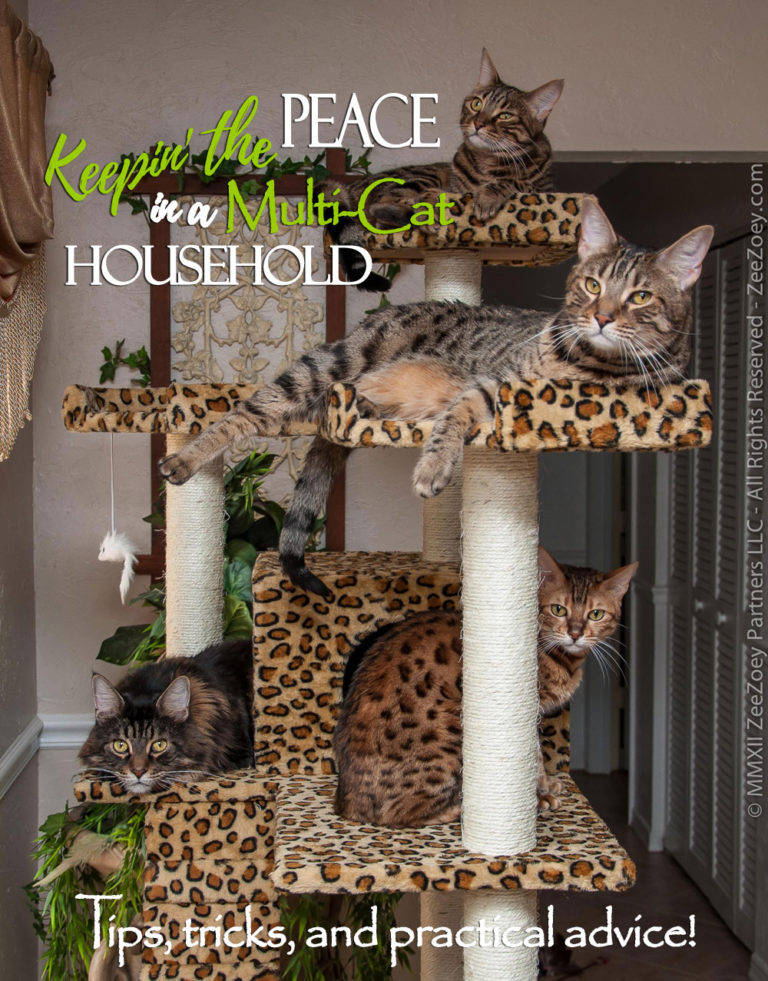Keepin' the Peace in a Multi-Cat Household: Tips, Tricks and Practical ...