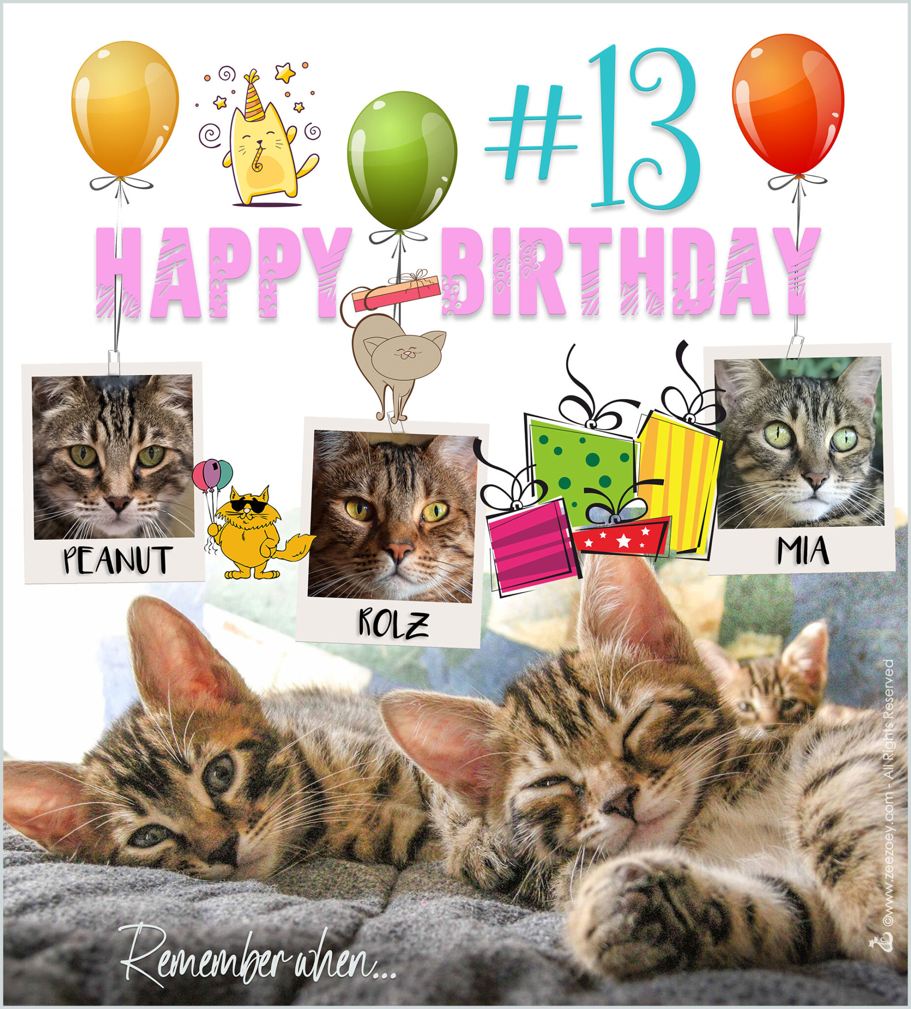 Happy 13th Birthday to the Senior Kittens at Zee & Zoey’s Cat Chronicles