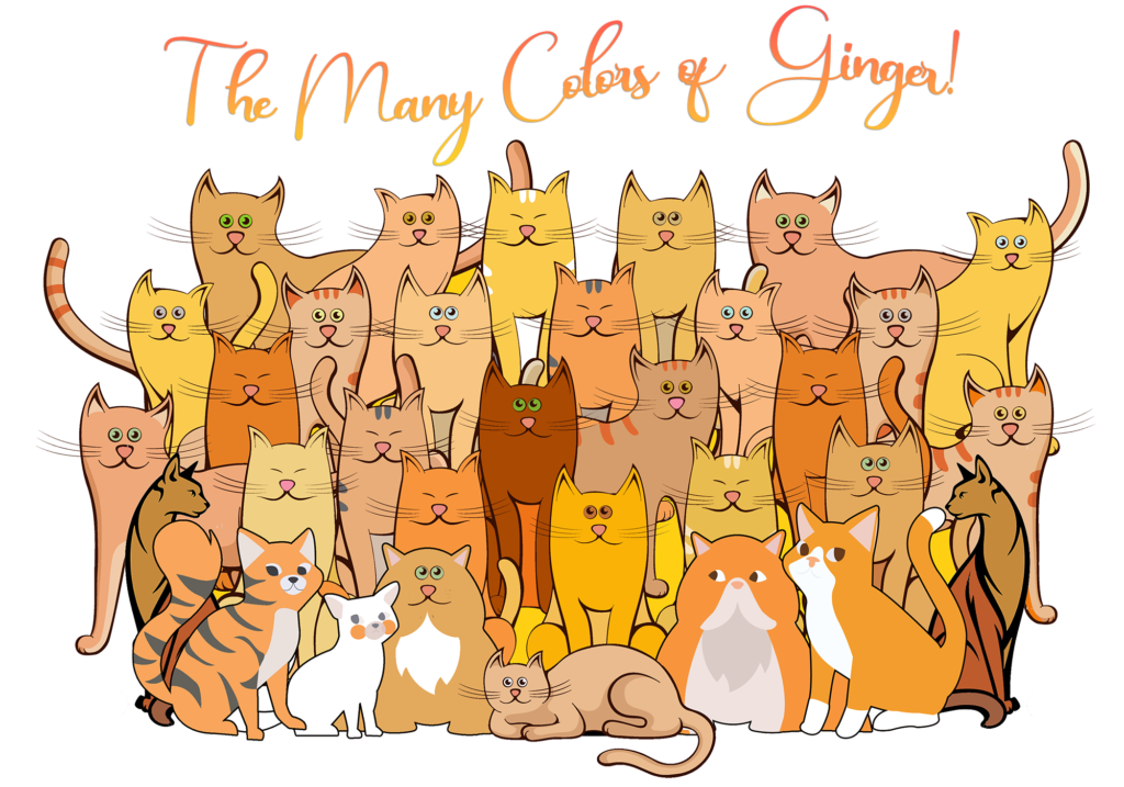 Some Facts on Ginger Fur for Ginger Cat Appreciation Day! Zee & Zoey's ...