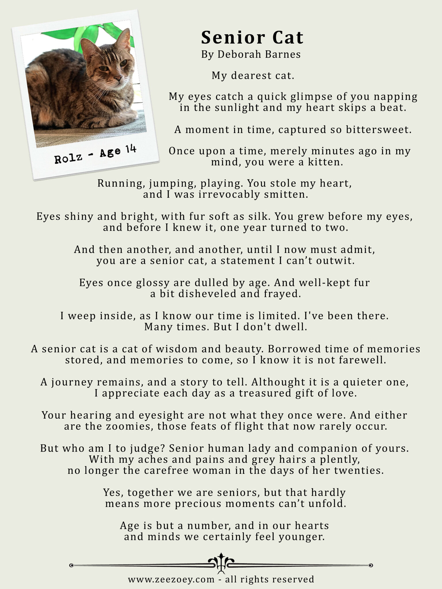 Dear Senior Cat – a Poem by Deborah Barnes Zee & Zoey's Cat Chronicles