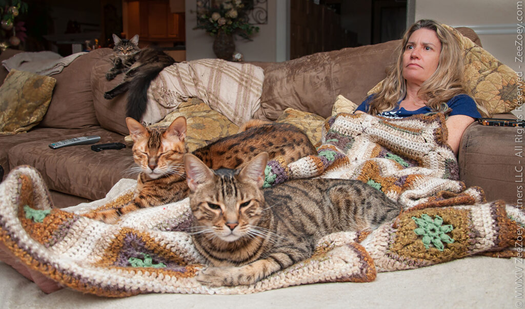 Farewell my Sweet Zoey – the Perfectly Imperfect Goodbye Zee & Zoey's ...